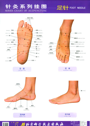 Why are there Different Reflexology Charts | Balancing Touch Reflexology