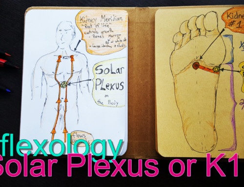 5 power points in Reflexology | Balancing Touch Reflexology
