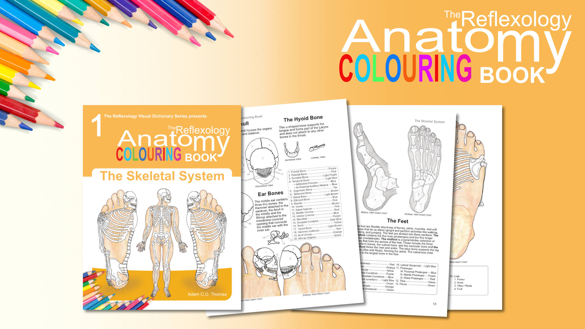 Introducing The Reflexology Colouring Book Balancing Touch Reflexology